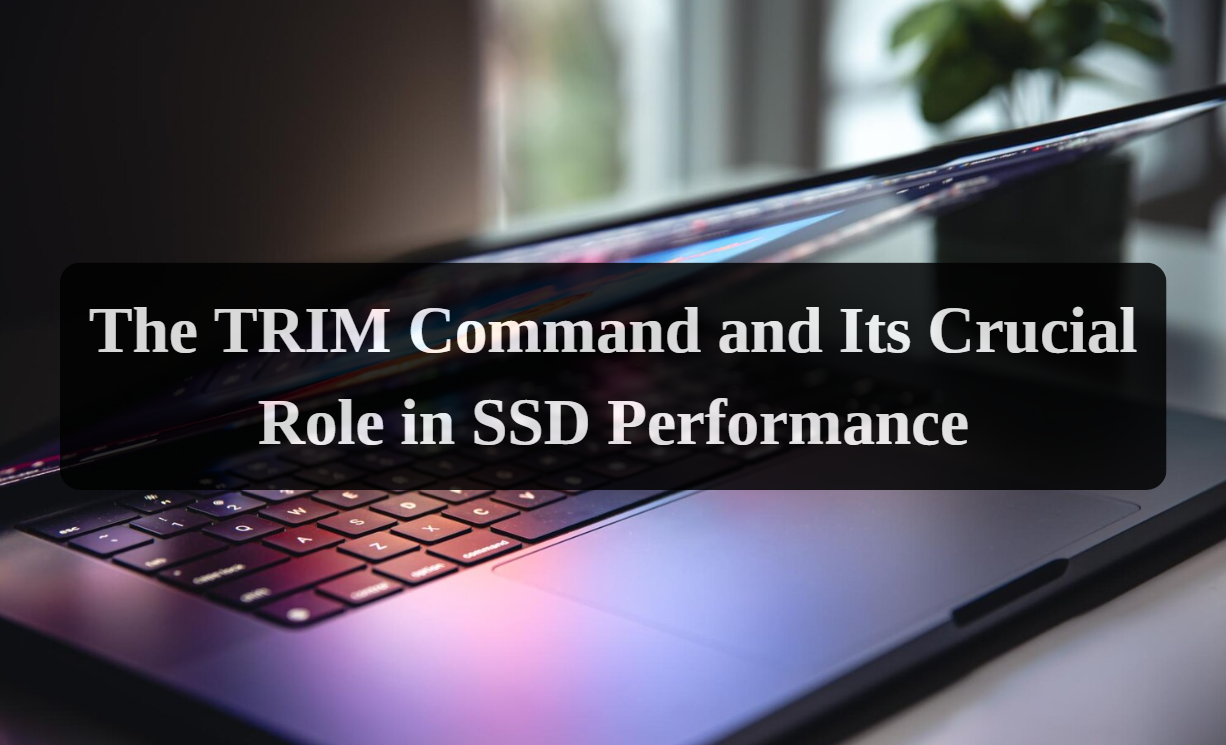 The TRIM Command and Its Crucial Role in SSD Performance - Dataleach