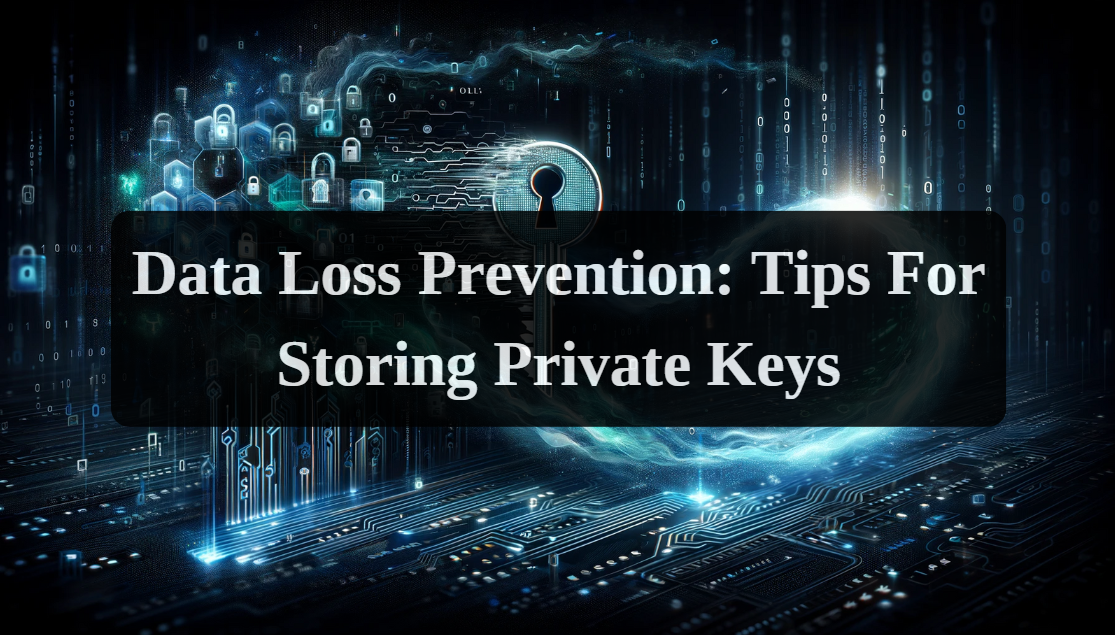 Data Loss Prevention: Tips For Storing Private Keys - Dataleach